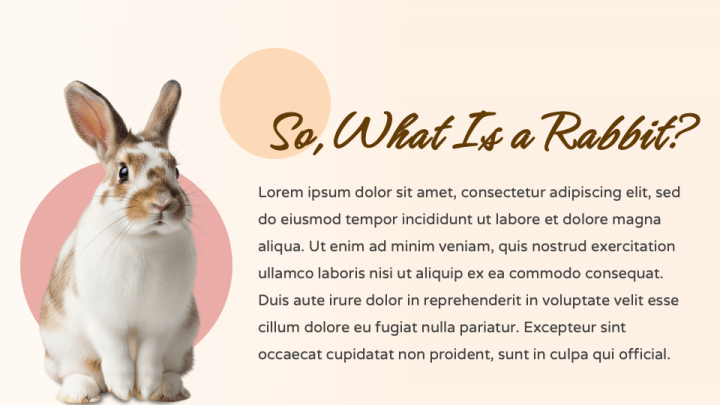 Free - Rabbit Presentation Theme for PowerPoint and Google Slides - PPT ...
