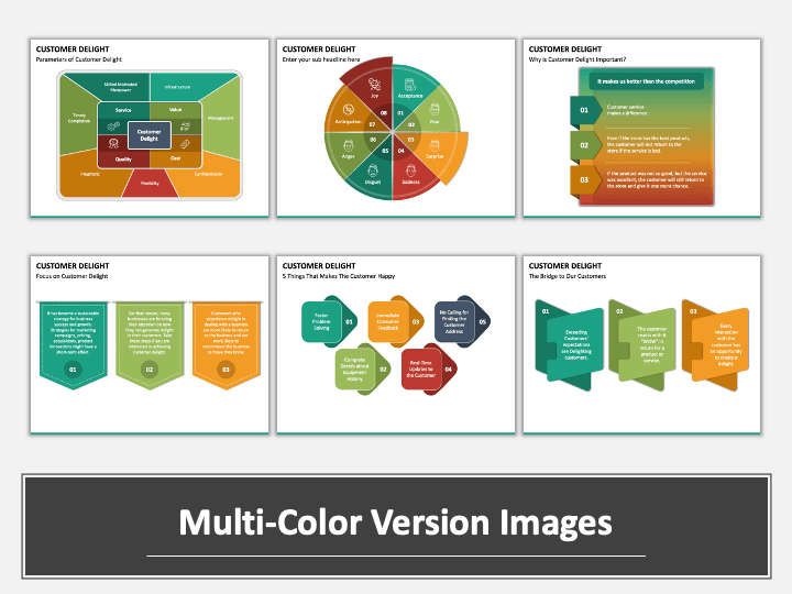 Customer Delight PowerPoint and Google Slides Template - PPT Slides