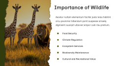 Free - Wildlife Presentation for PowerPoint and Google Slides - PPT Slides