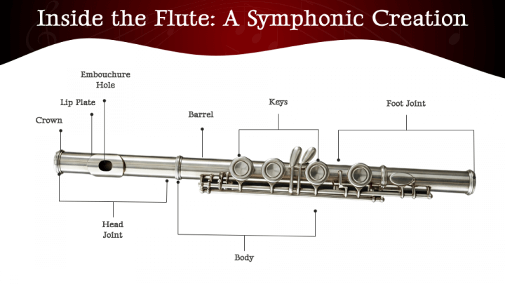 Free - Flute Theme for PowerPoint and Google Slides - PPT Slides