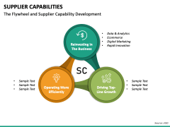 Supplier Capabilities PowerPoint and Google Slides Template - PPT Slides