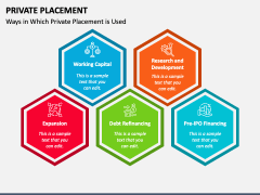 Private Placement PowerPoint and Google Slides Template - PPT Slides