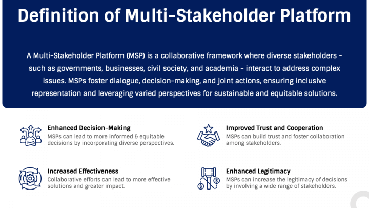 Multi-Stakeholder Platform (MSP) PowerPoint and Google Slides Template ...