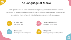 Free - Cat Presentation for PowerPoint and Google Slides - PPT Slides
