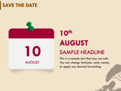 Free - World Lion Day PowerPoint Template and Google Slides Theme