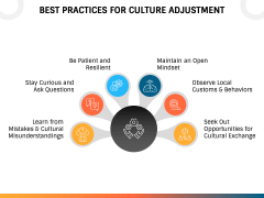 Culture Adjustment PowerPoint and Google Slides Template - PPT Slides