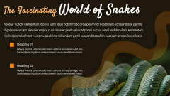 Free - Snake Presentation for PowerPoint and Google Slides - PPT Slides