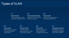 Virtual LAN PowerPoint and Google Slides Template - PPT Slides
