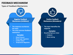 Feedback Mechanism PowerPoint and Google Slides Template - PPT Slides
