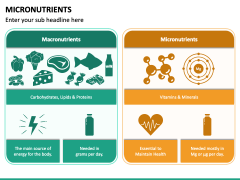 Micronutrients PowerPoint and Google Slides Template - PPT Slides