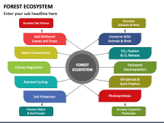 Forest Ecosystem PowerPoint and Google Slides Template - PPT Slides