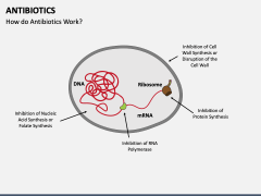Antibiotics PowerPoint and Google Slides Template - PPT Slides