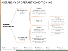 Operant Conditioning PowerPoint and Google Slides Template - PPT Slides