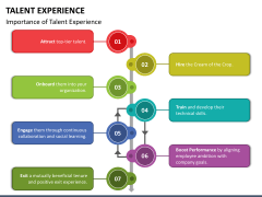 Talent Experience PowerPoint and Google Slides Template - PPT Slides