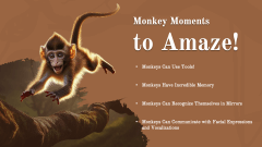 Free - Monkey Presentation for PowerPoint and Google Slides - PPT Slides