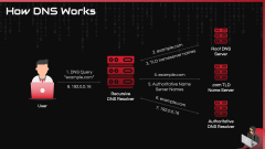 DNS Spoofing PowerPoint and Google Slides Template - PPT Slides