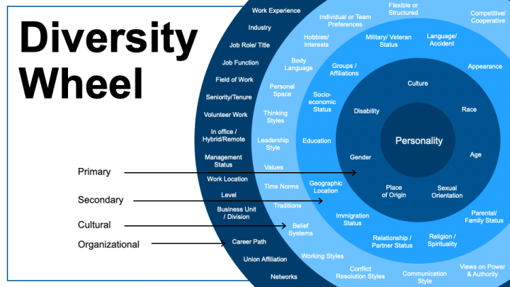 Diversity Wheel PowerPoint and Google Slides Template - PPT Slides