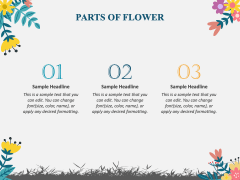 Flowers Presentation Theme - Free Download | PowerPoint Template ...