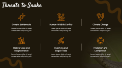 Free - Snake Presentation for PowerPoint and Google Slides - PPT Slides