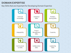 Domain Expertise PowerPoint and Google Slides Template - PPT Slides