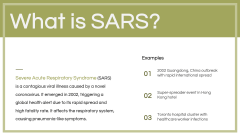 Severe Acute Respiratory Syndrome (SARS) PowerPoint and Google Slides ...