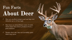 Free - Deer Presentation for PowerPoint and Google Slides - PPT Slides