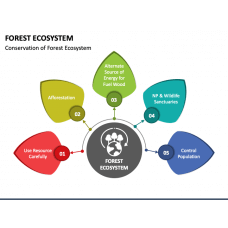 Forest Theme - Free Download | PowerPoint Template & Google Slides