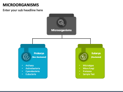 Microorganisms PowerPoint and Google Slides Template - PPT Slides