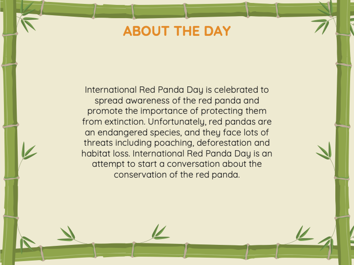 Free - International Red Panda Day PowerPoint Template and Google Slides Theme