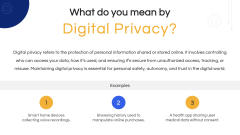 Digital Privacy PowerPoint and Google Slides Template - PPT Slides