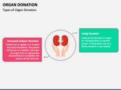 Organ Donation PowerPoint and Google Slides Template - PPT Slides
