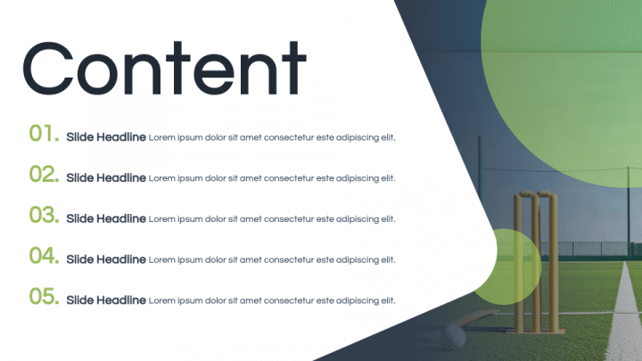 Free - Box Cricket Theme for PowerPoint and Google Slides - PPT Slides