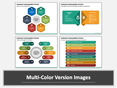 Pharmacy Management System PowerPoint and Google Slides Template - PPT ...
