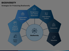 Biodiversity PowerPoint and Google Slides Template - PPT Slides
