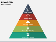 Hemoglobin PowerPoint and Google Slides Template - PPT Slides