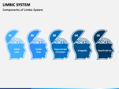 Limbic System PowerPoint and Google Slides Template - PPT Slides