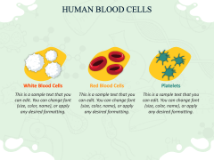 Free - Biology For High School PowerPoint Template and Google Slides Theme