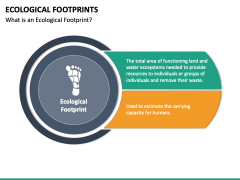Ecological Footprints PowerPoint and Google Slides Template - PPT Slides