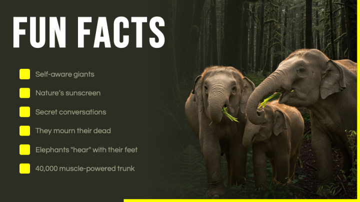 Free - Elephant Theme for PowerPoint and Google Slides - PPT Slides