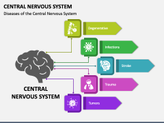 Central Nervous System PowerPoint and Google Slides Template - PPT Slides