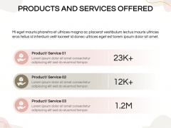 Simple Elegant Presentation Theme for PowerPoint and Google Slides ...