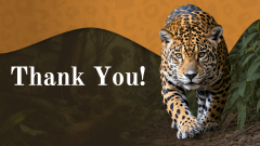 Free - Jaguar Presentation Theme for PowerPoint and Google Slides - PPT ...