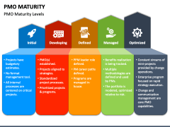 PMO Maturity PowerPoint and Google Slides Template - PPT Slides