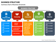 Business Structure PowerPoint and Google Slides Template - PPT Slides