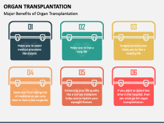 Organ Transplantation PowerPoint and Google Slides Template - PPT Slides