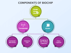 Biochips PowerPoint and Google Slides Template - PPT Slides