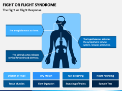 Fight or Flight Syndrome PowerPoint and Google Slides Template - PPT Slides