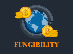 Fungibility PowerPoint and Google Slides Template - PPT Slides