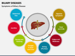 Biliary Diseases PowerPoint and Google Slides Template - PPT Slides