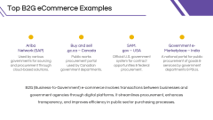 B2G Ecommerce PowerPoint and Google Slides Template - PPT Slides
